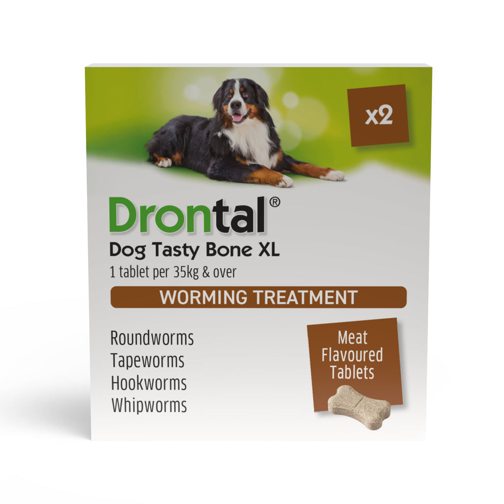 Drontal Tasty Bone XL Wormer Tablets for Large Dogs (Over 20kg) 1 tabl ...