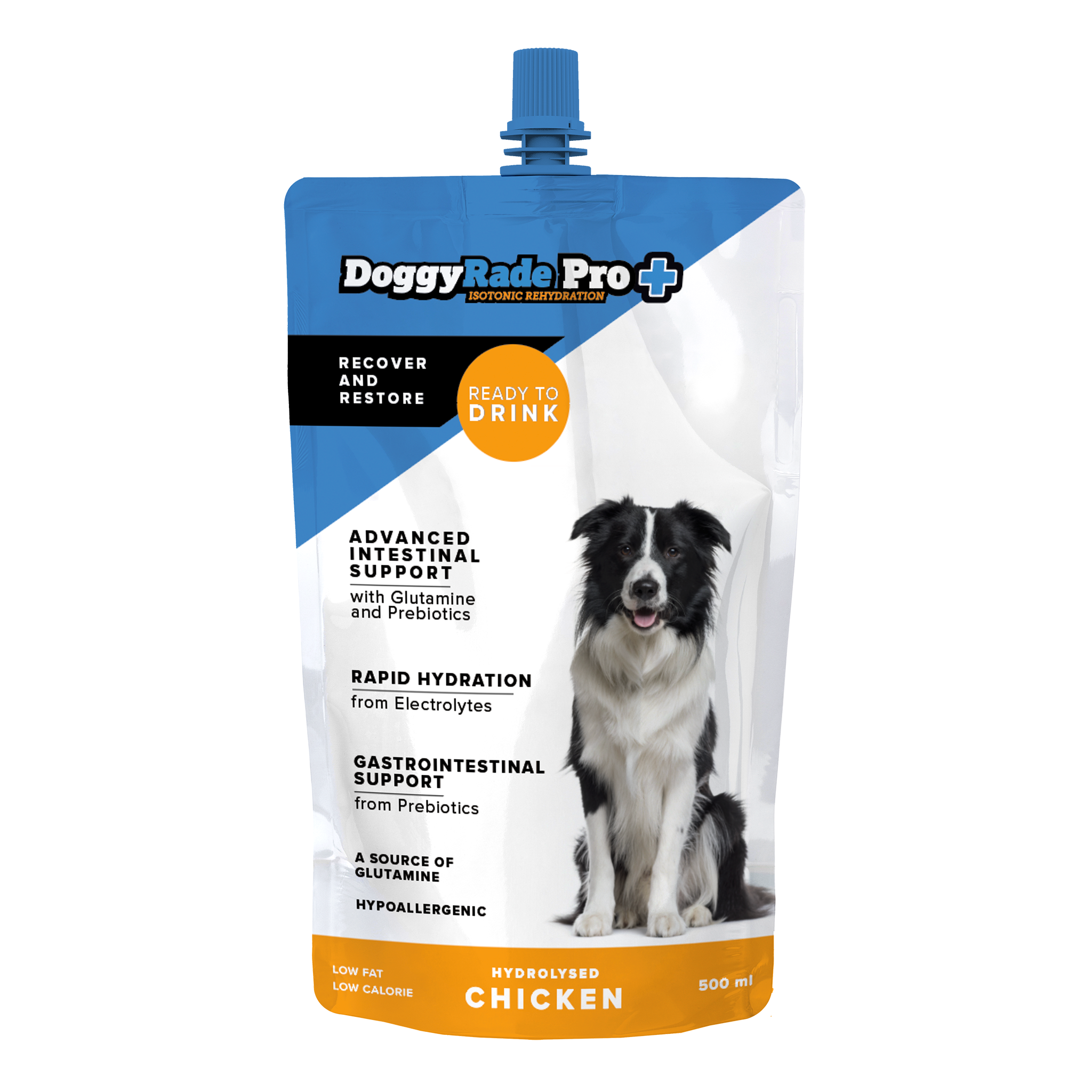 DoggyRade Pro Prebiotic and Isotonic Rehydration Drink for Dogs - Chic ...
